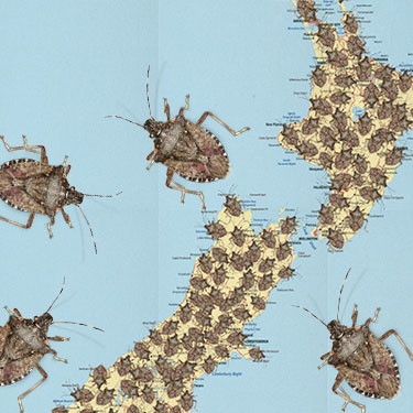 Go Gardening - Helping New Zealand Grow - Garden Inspiration, tips and ...